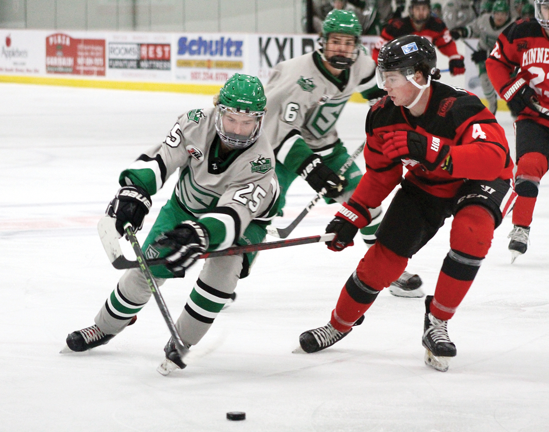 Loons spoil late Steel comeback, win in OT | News, Sports, Jobs - The ...